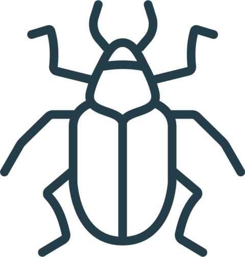 Houtworm - Allround Pest Control